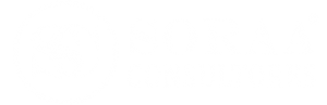 » Soraa Consultores